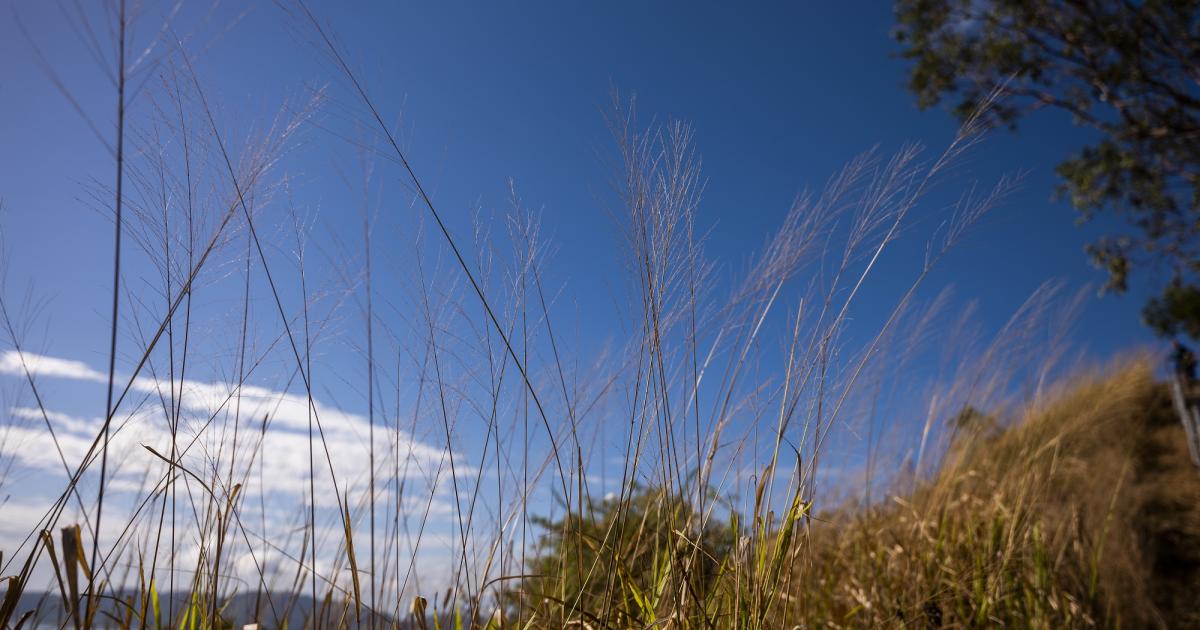 APS Reform in action while safeguarding biosecurity | APS Reform